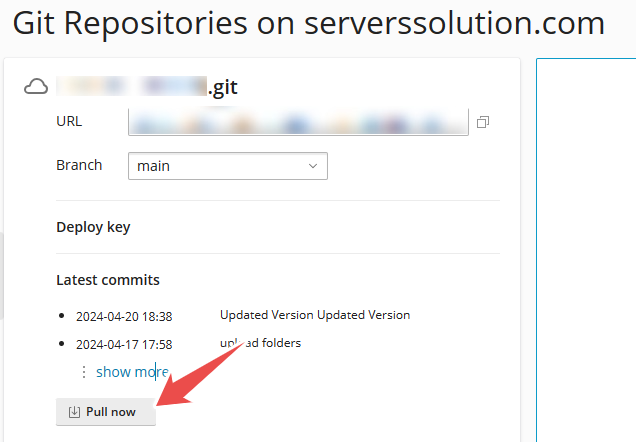 Git Hub in Plesk Hosting Panel
